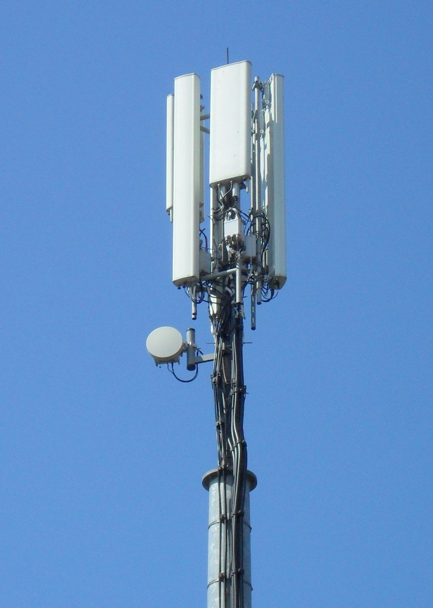 Wat is straling - StralingsBewust.info